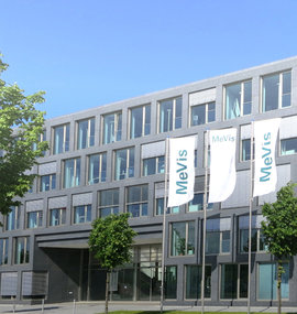 MeVis Medical Solutions AG: Unternehmen
